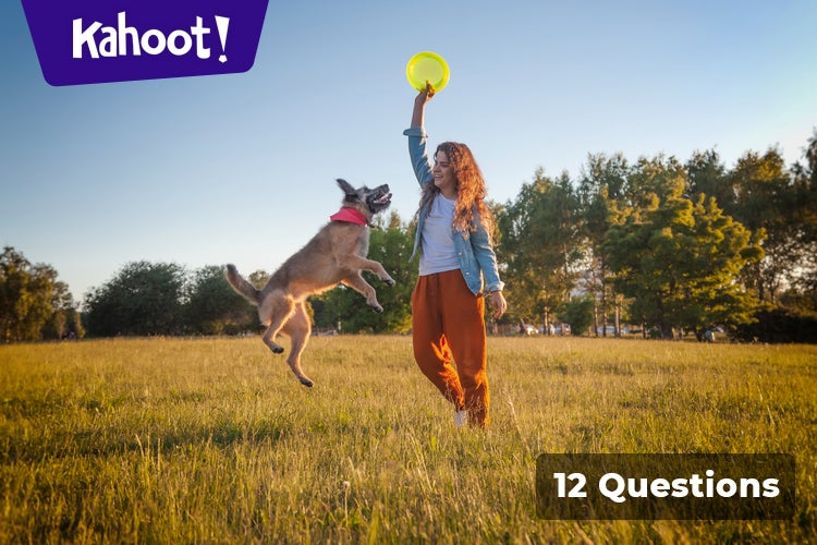 Open Up 4 - Unit 6: Summer - Kahoot! Quiz