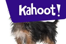 Toy Dog Breeds Small Animal Canine Identification - Kahoot! Quiz