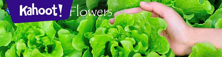 CIS6 Plant revision questions - Kahoot! Quiz