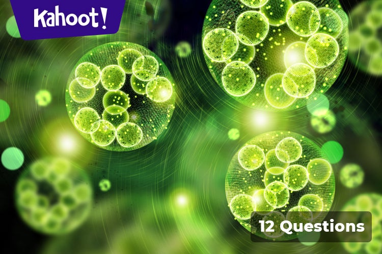 How Plants Make Food GRADE 4 - Kahoot! Quiz