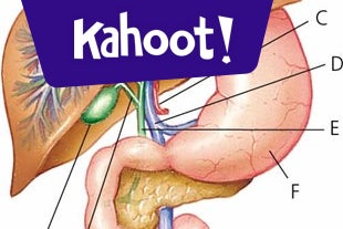 Anatomy (Midterm to Final) - Kahoot! Quiz
