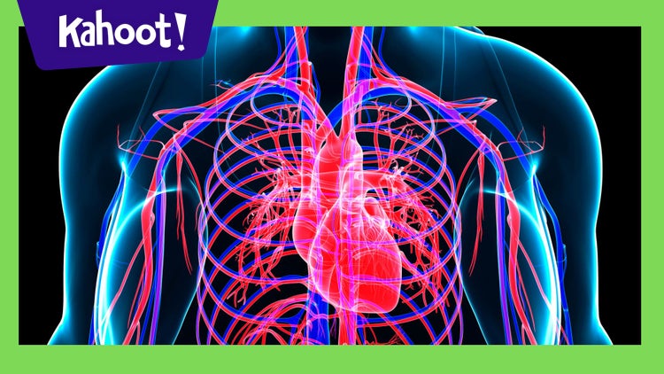 The Circulatory System: Blood, Vessels & the Heart - Kahoot! Quiz