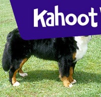 Vet Breed ID Dog All CDE FFA SC - Kahoot! Quiz