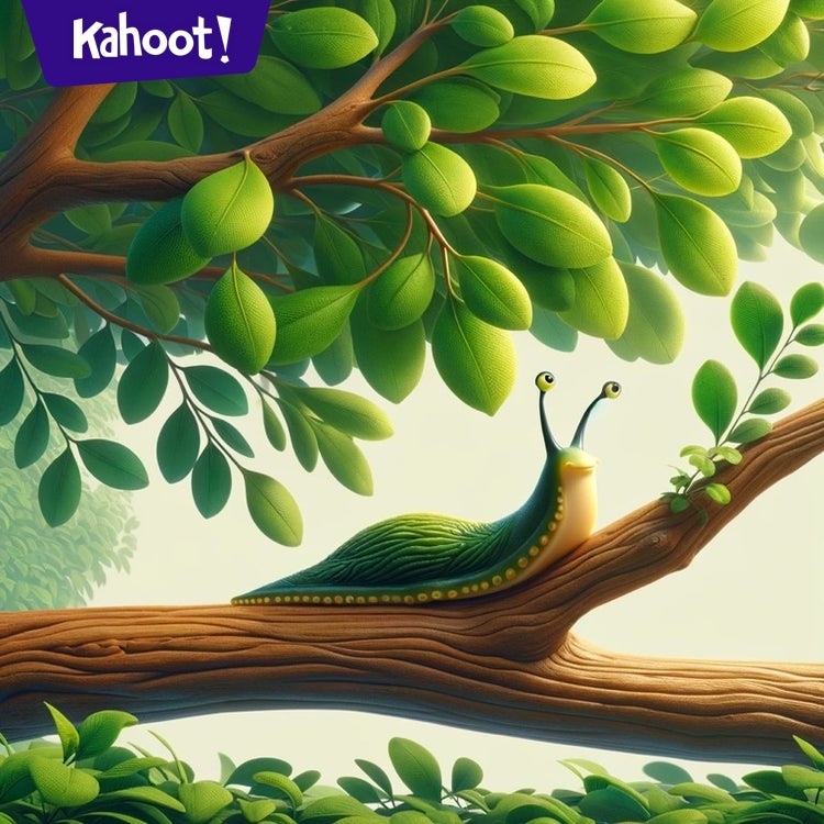 Ufli 39b Short u ccvc cvcc picture - Kahoot! Quiz