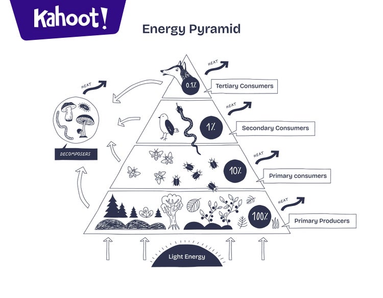 Ecology Study Guide - Kahoot! Quiz