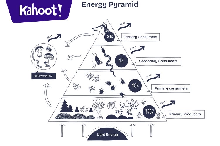 Ecology Study Guide - Kahoot! Quiz