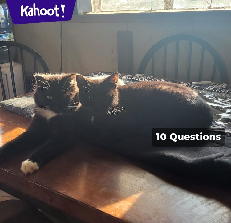 Halloween - Kahoot! Quiz