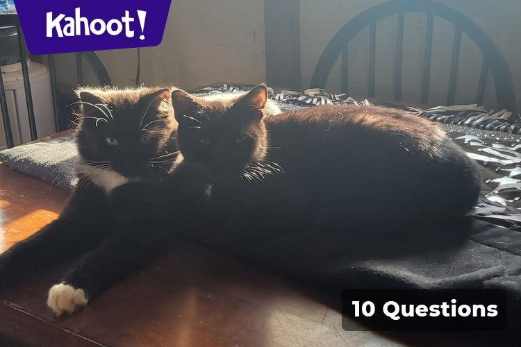 Halloween - Kahoot! Quiz