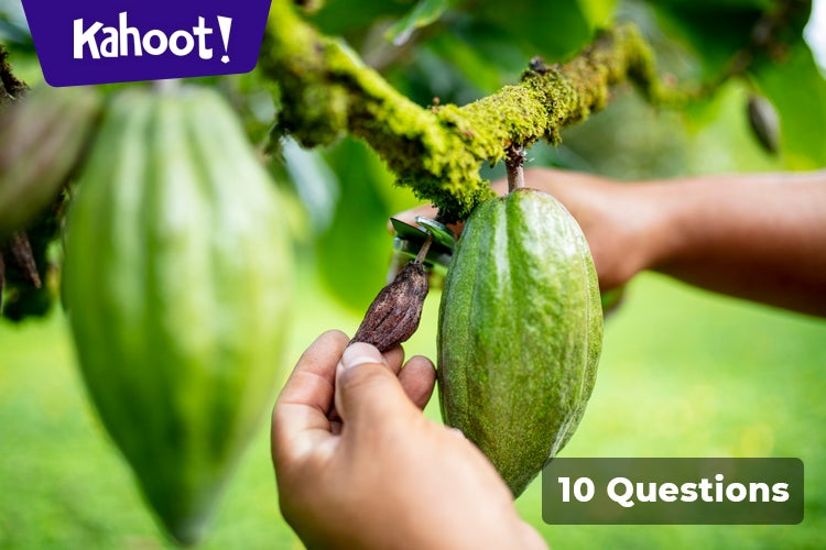 Chocolate trees - Kahoot! Quiz