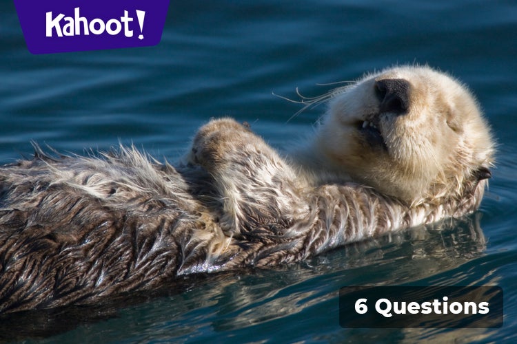 A recycled bridge, sea otters fight climate change, and a space balloon ...