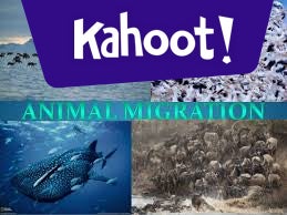 Animal Migration - Kahoot! Quiz
