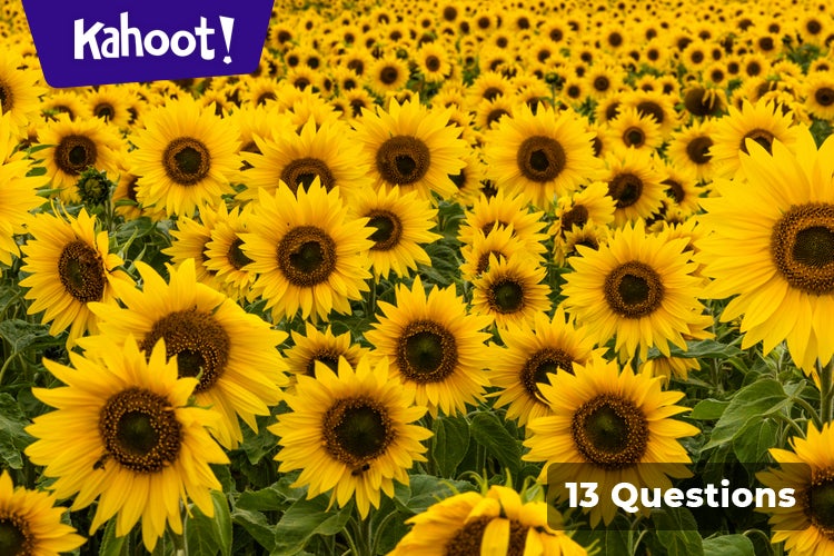 Life in color: Yellow - Kahoot! Quiz