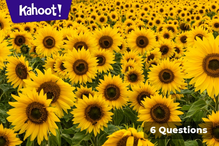 Life cycles - Kahoot! Quiz
