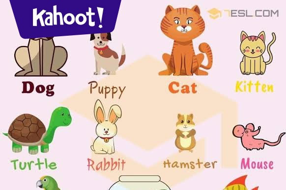 Pet Animals - Kahoot! Quiz