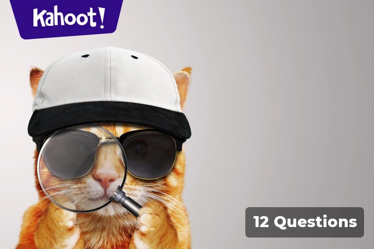 Baby Animal Rescue - Kahoot! Quiz