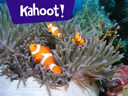 Symbiosis LESSON - Kahoot! Quiz