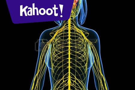 The Nervous System PMAR - Kahoot! Quiz