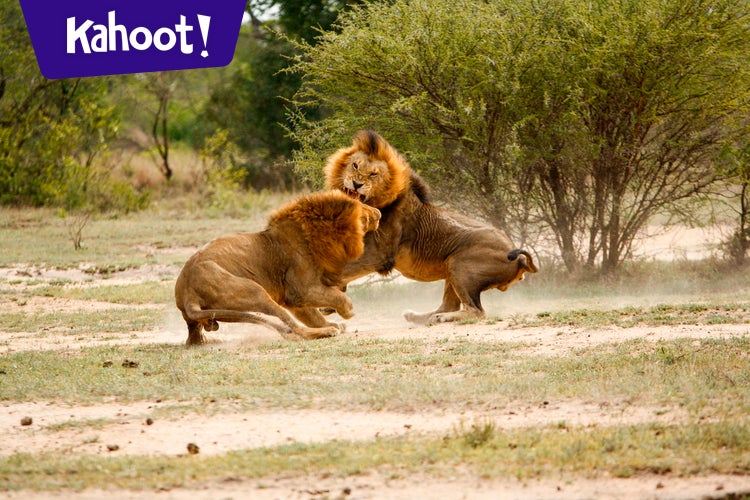 Ecology Review - Kahoot! Quiz