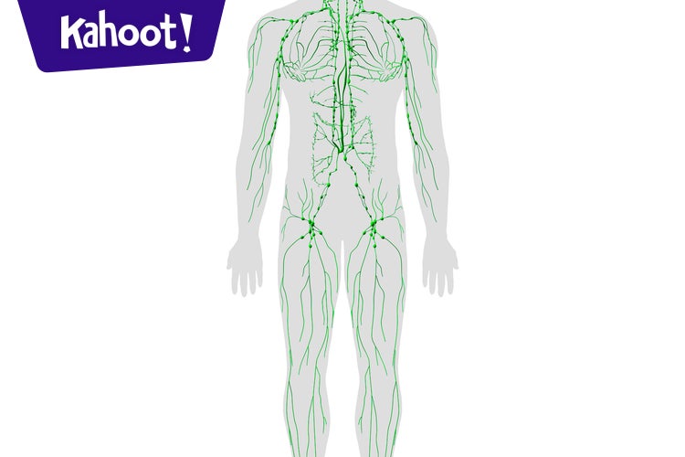 The Human Lymphatic System - Kahoot! Quiz