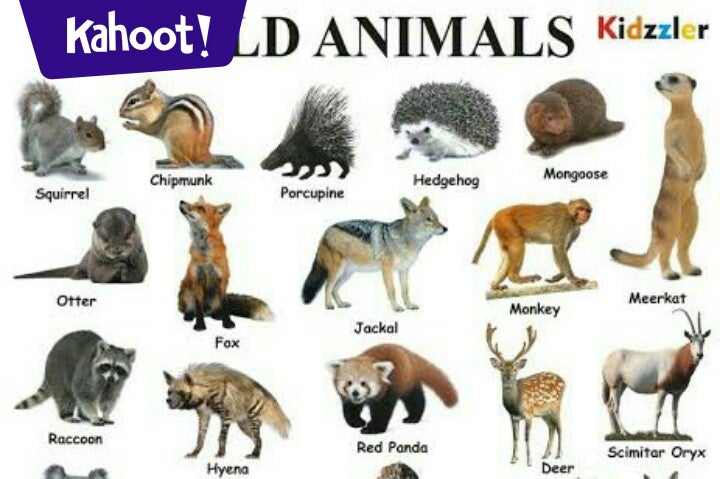 7th GRADES / UNIT - 4 WILD ANIMALS 》PART-2 - Kahoot! Quiz