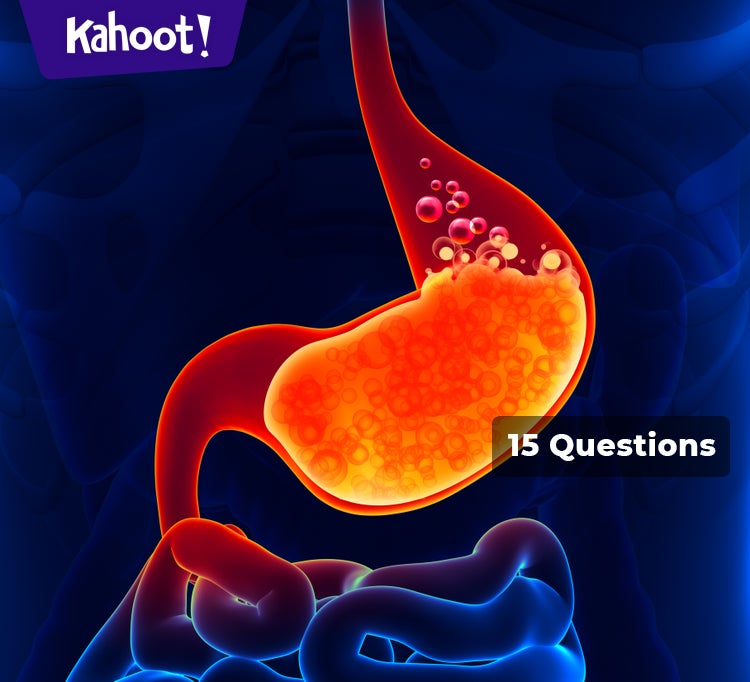 Digestive System (Puzzle Questions) - Kahoot! Quiz