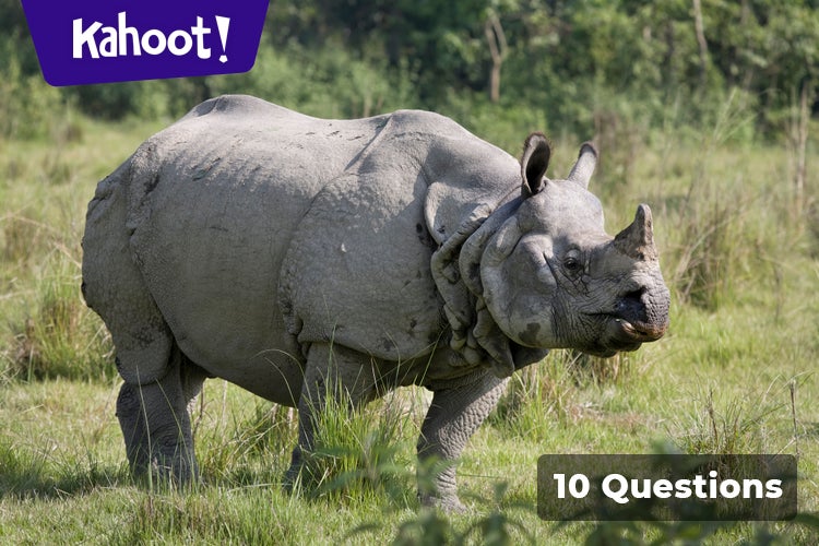 Protecting Indian rhinos, the ozone layer, and life inside drops of sea water | TSR S7 Ep 18 ...