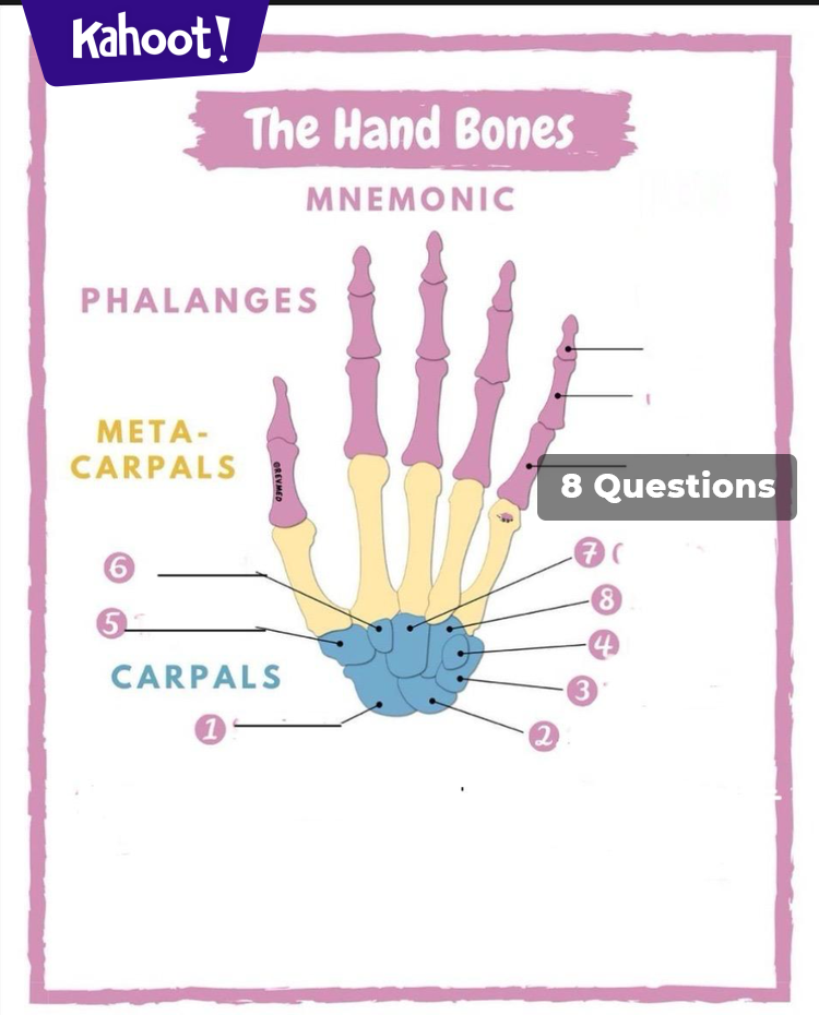 Plastisch hand carpalen - Kahoot! Quiz