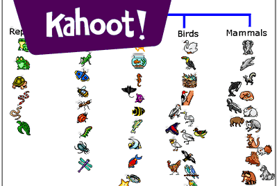 Classification of Animals - Kahoot! Quiz
