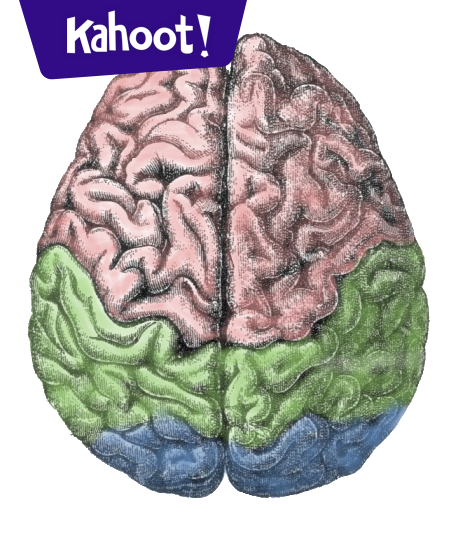 Our Bilingual Brain - Kahoot! Quiz