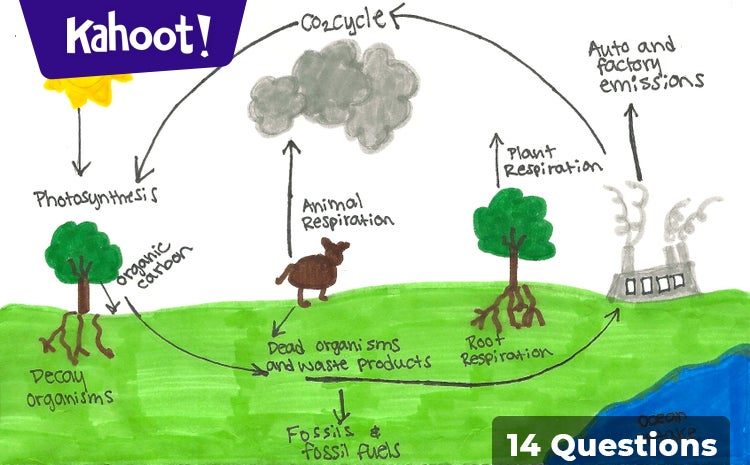 The Carbon & Nitrogen Cycle (HH) - Kahoot! Quiz
