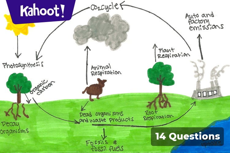 The Carbon & Nitrogen Cycle (HH) - Kahoot! Quiz