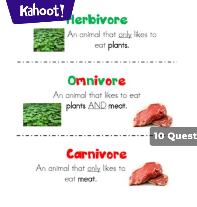 Carnivore, Herbivore, or Omnivore? - Kahoot! Quiz