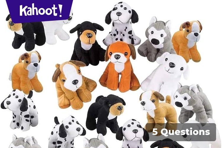 Dog Trivia - Kahoot! Quiz