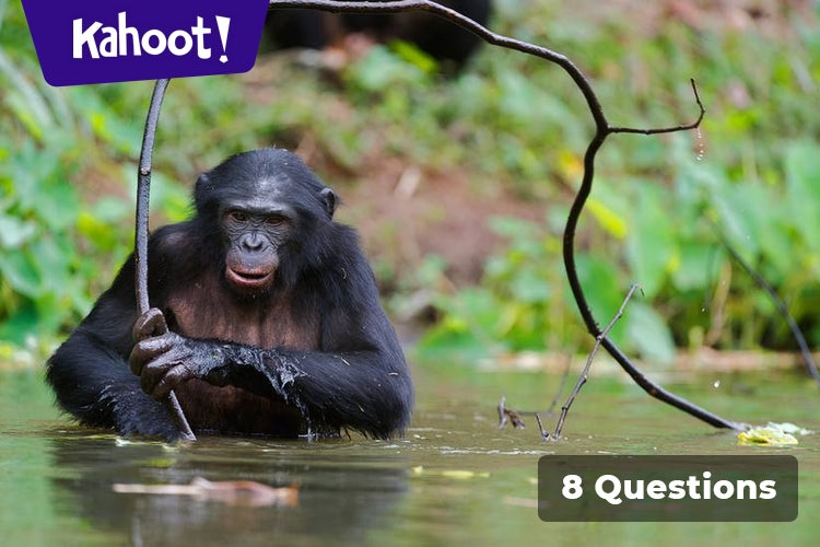 Animal Smarts - Kahoot! Quiz