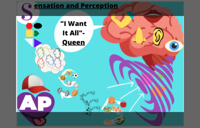 Unit 1 (BIG) - Biological Bases of Behavior - Kahoot! Quiz