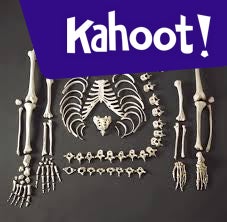 Skull/Facial Bone Identification - Quiz prep - Kahoot! Quiz