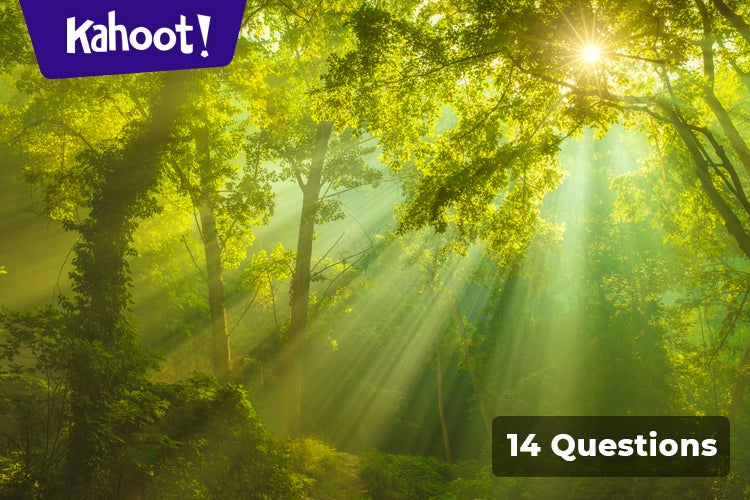 Energy Flow in Ecosystems - Kahoot! Quiz