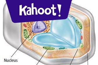 Plant Diversity - What is a Plant? - Kahoot! Quiz