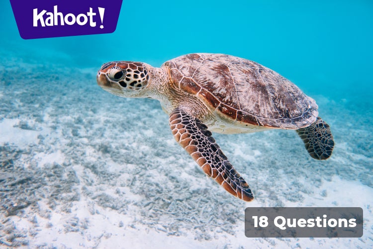 Animal Quiz - Kahoot! Quiz