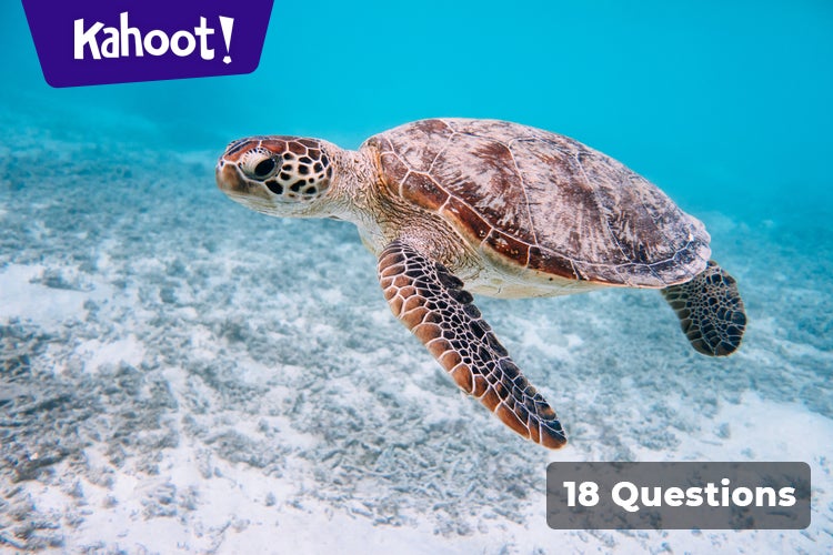 Animal Quiz - Kahoot! Quiz