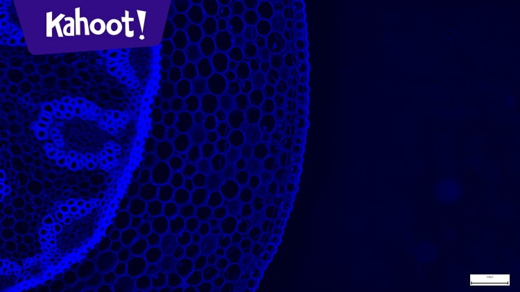 Cell Organelles and Their Functions - Kahoot! Quiz