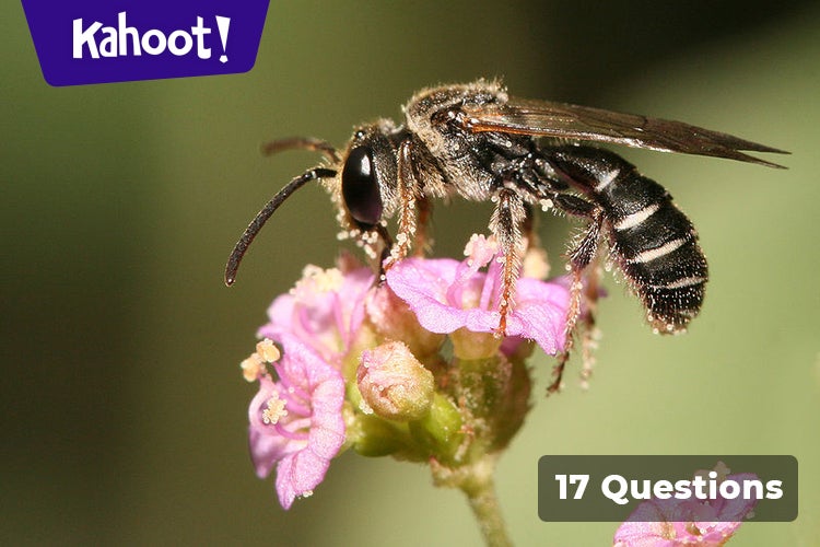 Relationships in Ecosystems - Kahoot! Quiz