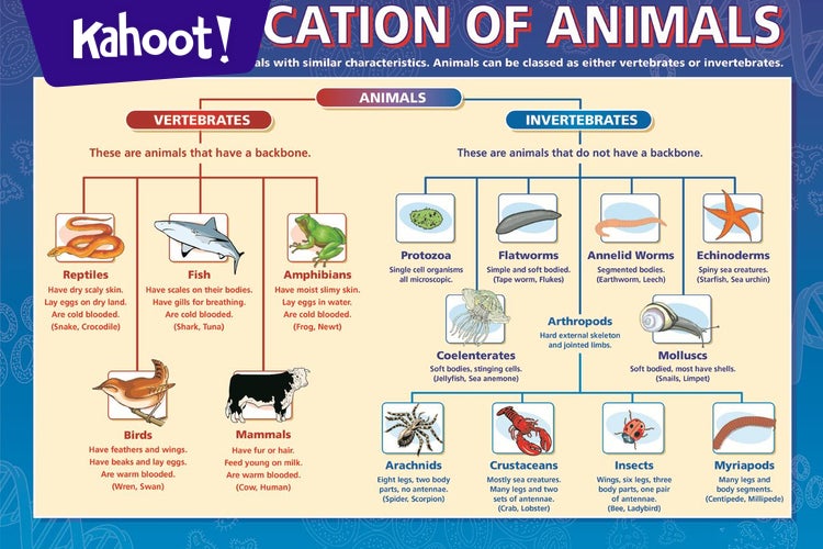 Classifying Animals 2 - Kahoot! Quiz