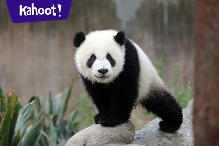 Environmental Challenges Quiz ESL VOCABULARY - Kahoot! Quiz