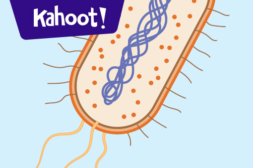 Prokaryotic Cells - Kahoot! Quiz