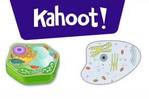 Cell Structure and Function-- - Kahoot! Quiz