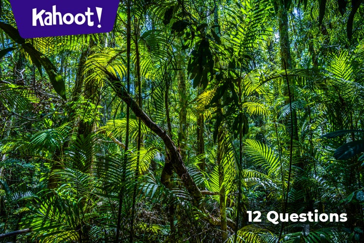 IB ESS Topic 1.1 key vocab review (environmental value systems ...