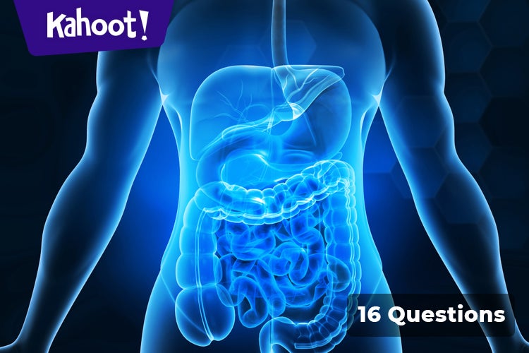 2.2. The Human Digestive System GCSE Biology AQA - Kahoot! Quiz