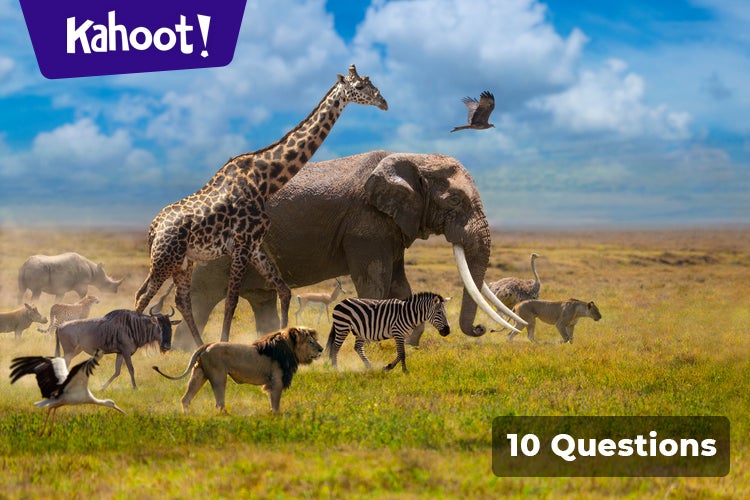 Wild Animals - Kahoot! Quiz