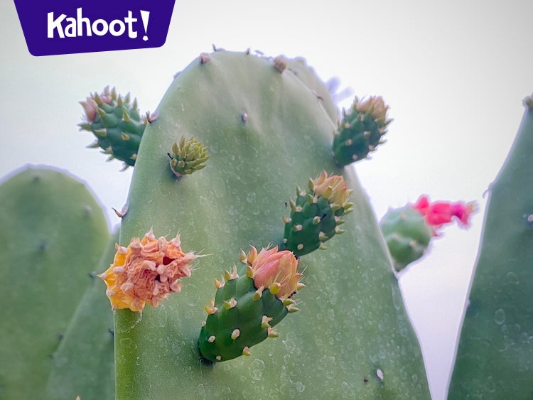 Climate Change Unit Review - Kahoot! Quiz